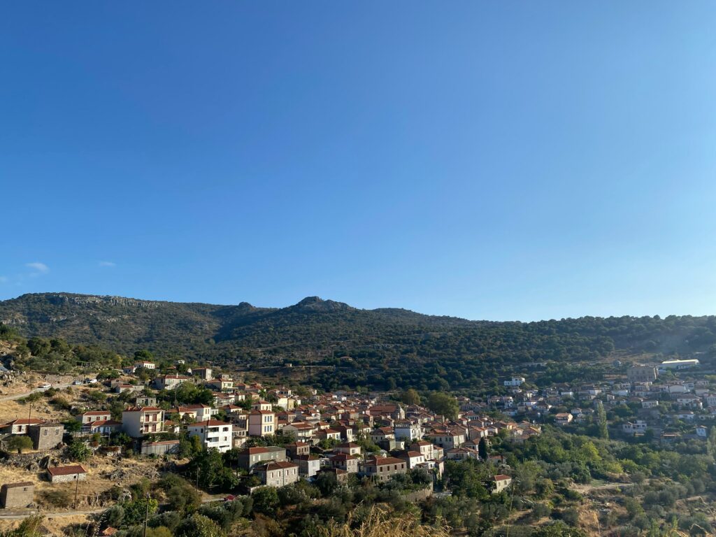 Info vacanțe și sejururi în Insula Lesvos, Grecia în 2026 • TripInfo